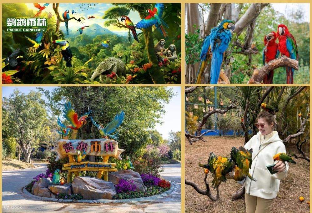 2-Day Qingyuan Tour from Shenzhen/Guangzhou: Qingyuan Chimelong Resort ...